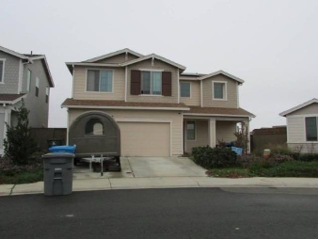 Peach Tree Drive