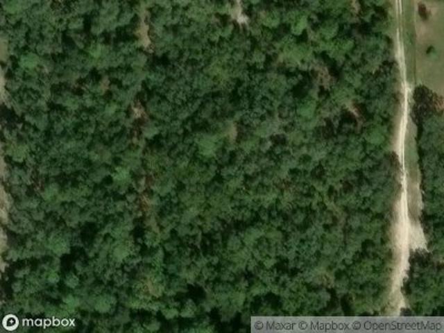 Peach Orchard Rd