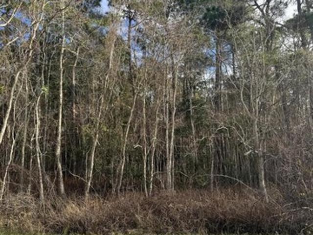 Peach St Lot 2225, Ocean Springs, MS 39564