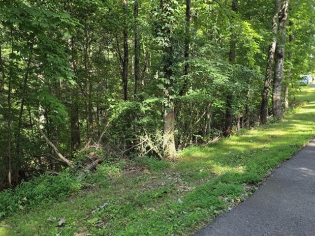 Peachtree Hills Ln Lot 9, Murphy, NC 28906