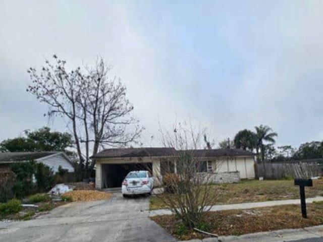 Peacock Dr