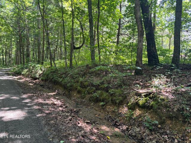Peacock Rd, Deer Lodge, TN 37726