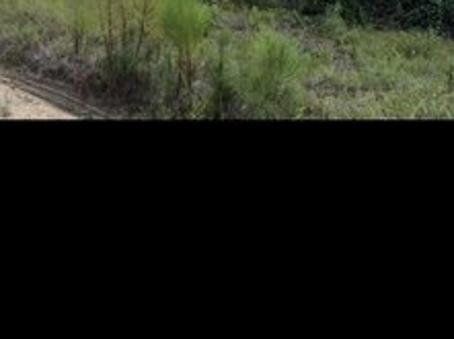 Peacock Xing, Tennille, GA 31089