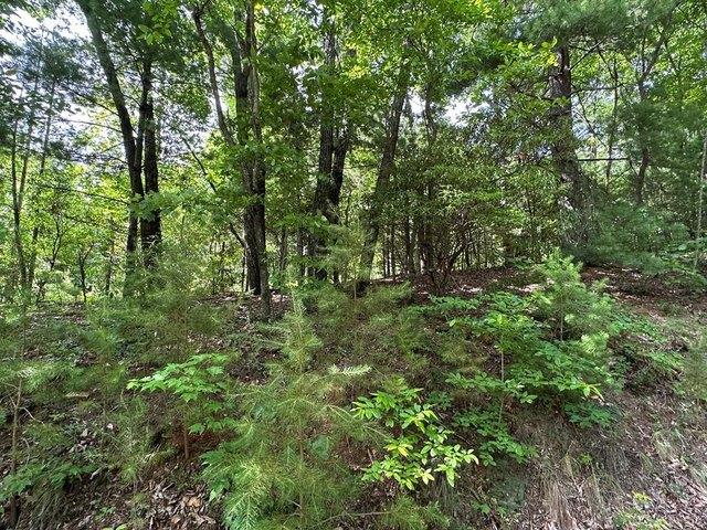 Peak Trl Lot 31, Murphy, NC 28906