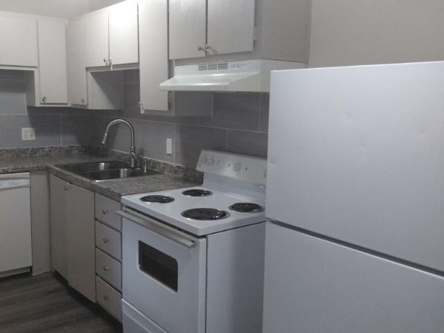 Peak #365 | 1 MONTH FREE 1bed/1bath in Colorado Springs!