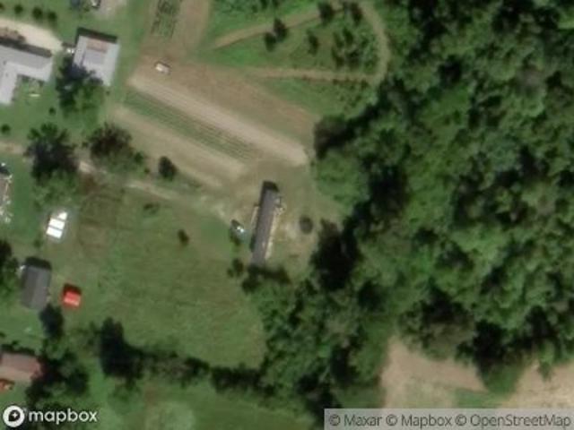 Peanut Plant Rd