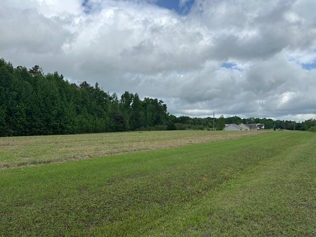 Pear Blossom Ln, Adamsville, TN 38310