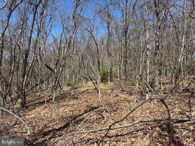 Pear Ln Lot 28, Romney, WV 26757