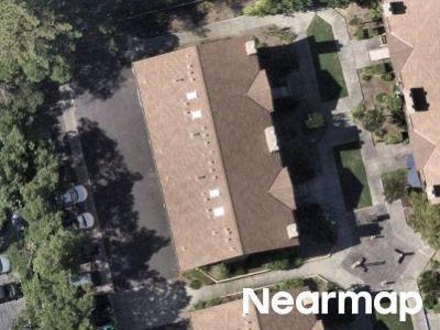 Pear Tree Ln