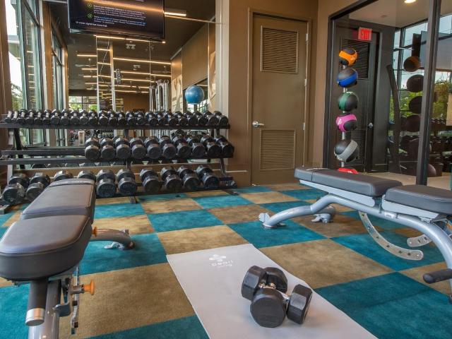 Pearl Washington 1 Bedroom Apartment for Rent at 5454 Washington Ave, Houston, TX 77007 Washington Ave Memorial Park