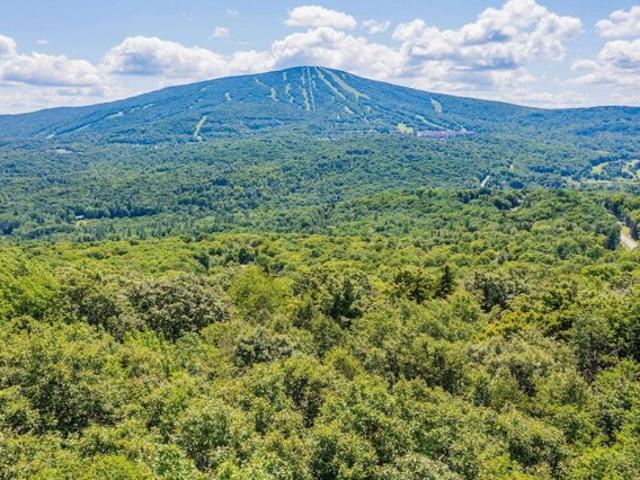 Pearl Buck Dr, Winhall, Plot For Sale