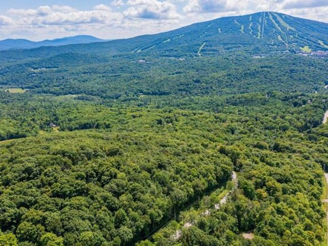 Pearl Buck Dr, Winhall, Plot For Sale