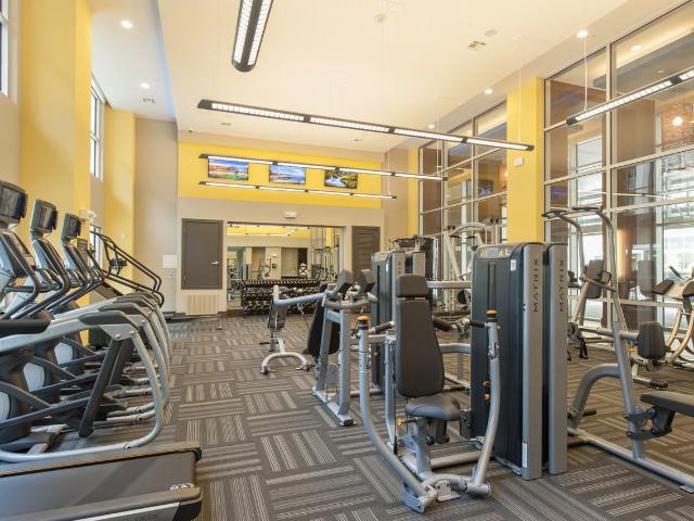 Pearl CityCentre North 1 Bedroom Apartment for Rent at 10402 Town And Country Way, Houston, TX 77024 Memorial