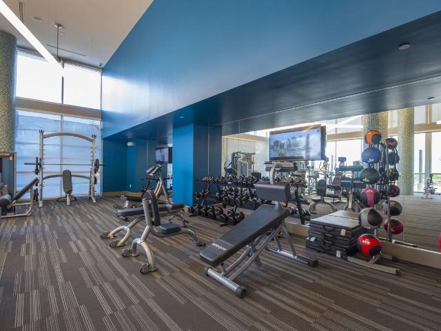 Pearl Residences 1 Bedroom Apartment for Rent at 10401 Town And Country Way, Houston, TX 77024 Memorial