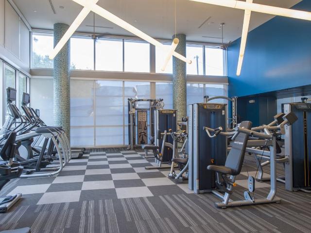 Pearl Residences 1 Bedroom Apartment for Rent at 10401 Town And Country Way, Houston, TX 77024 Memorial