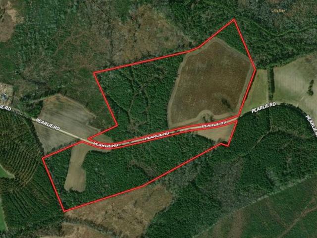 Pearlie Dr, Dillon, SC 29536