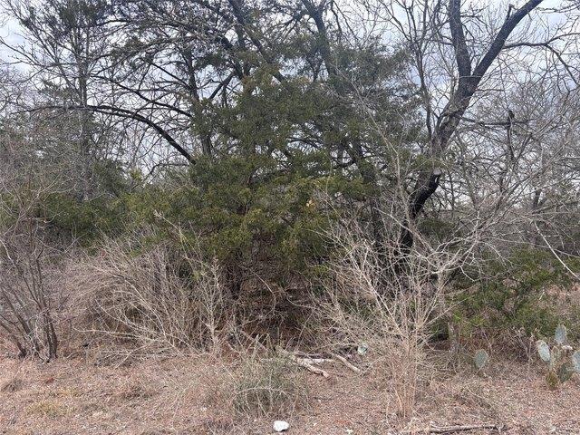 Pearson Rd, Cedar Creek, TX 78616