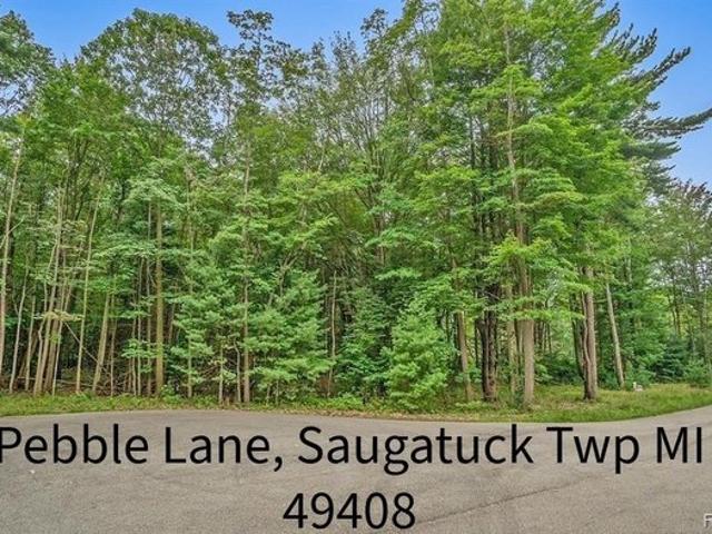 Pebble Ln, Saugatuck, MI 49408