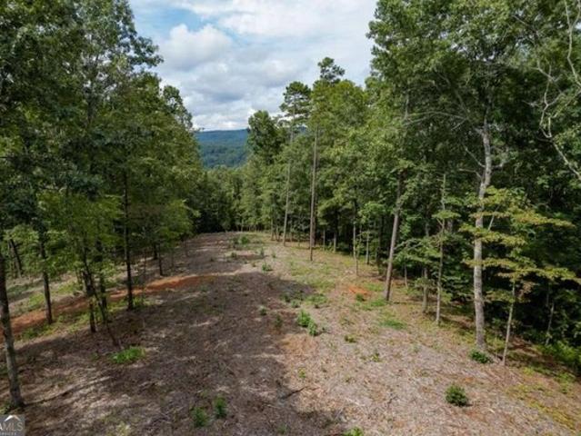 Pebble Trce Lot 315, Talking Rock, GA 30175