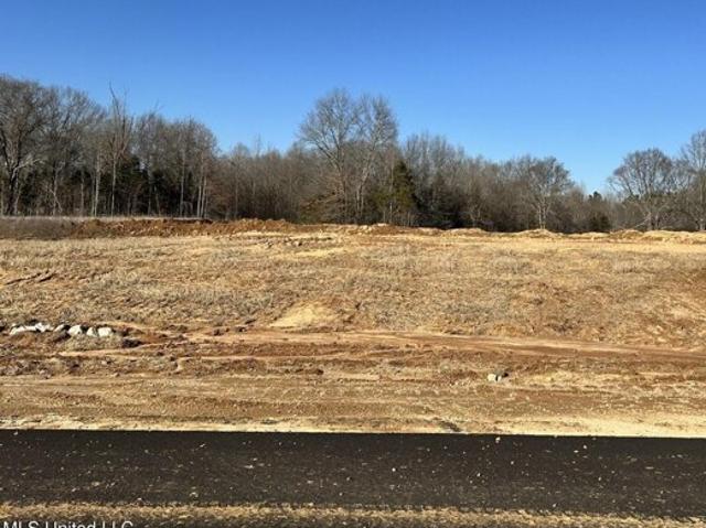 Pebble View Cv Lot,byhalia, Plot For Sale