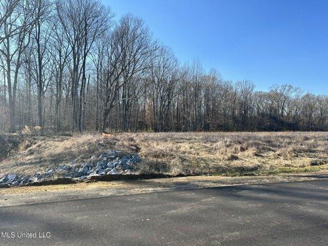 Pebble View Dr Lot,byhalia, Plot For Sale