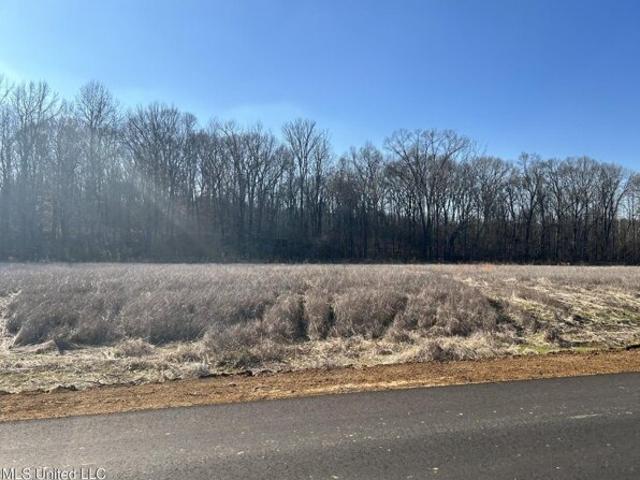 Pebble View Dr Lot,byhalia, Plot For Sale