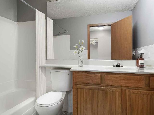 Pebblebrook Flats 1 Bedroom Apartment for Rent at 9801 Harrison Rd, Bloomington, MN 55437 West Bloomington