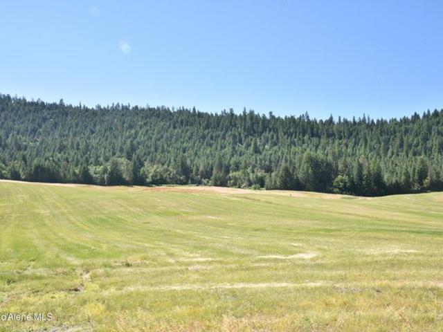 Pebblestone Dr Lot 4, Plummer, ID 83851