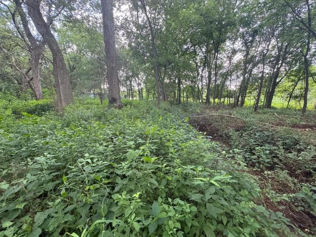 Pecan Valley Lot 60 Road