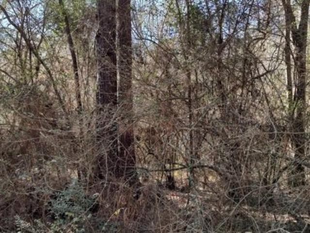 Pecan Dr, Lumberton, MS 39455