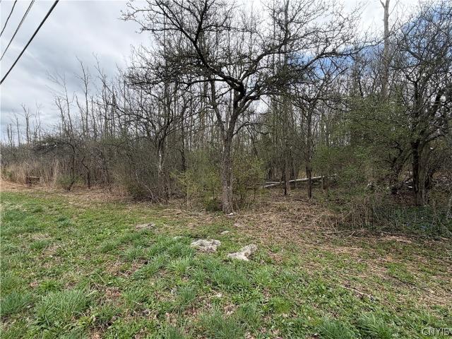 Peck Hill Road