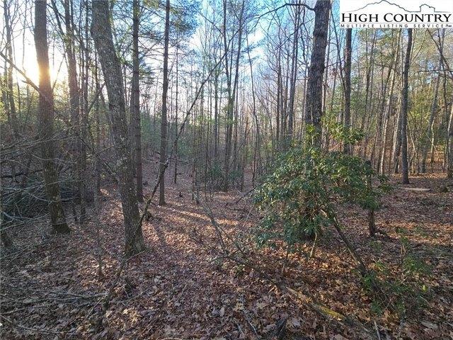 Peck Peak Rd, Jefferson, NC 28640