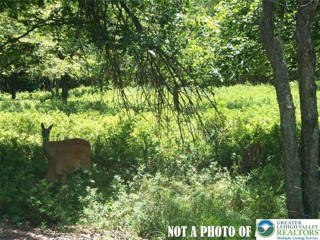 Pecos Ter, Tunkhannock, PA 18210