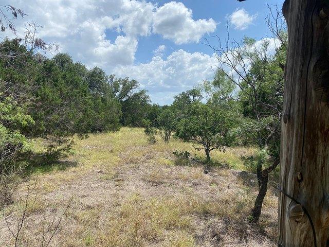 Pedernales Oaks Rd Lot 31, Johnson City, TX 78636