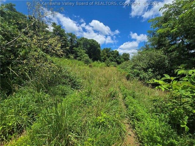 Peewee Hill Rd, Sandyville, Plot For Sale