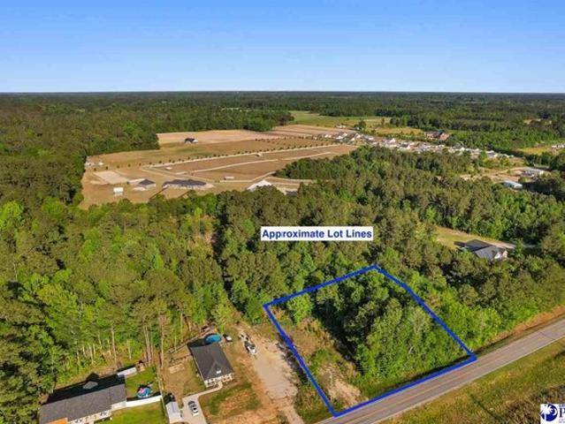 Pee Dee Hwy, Conway, SC 29527