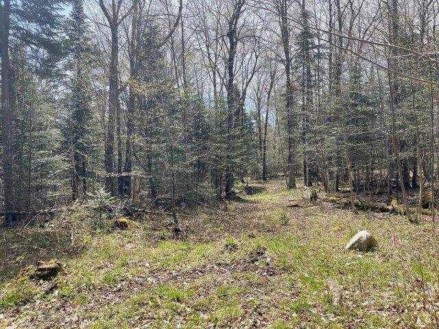 Peene Hill Rd, Westmore, Plot For Sale