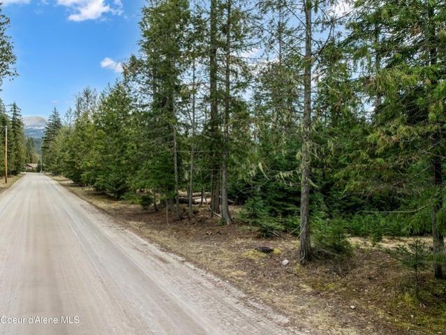 Peirone Ests Lot 3, Nordman, ID 83848