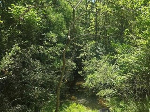 Pelham Dr, Mobile, AL 36609