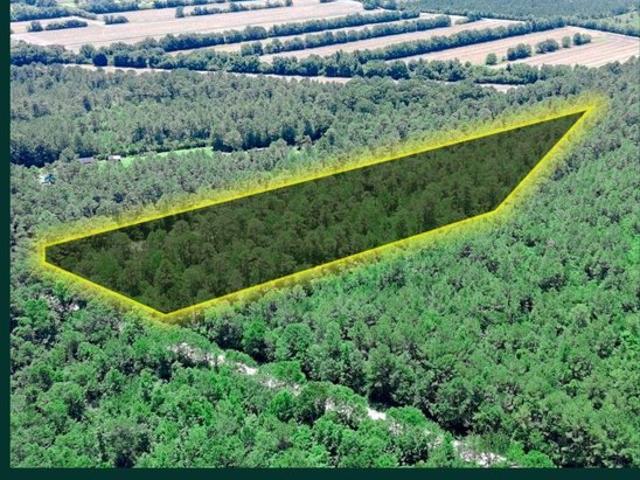 Pelham Rd, Watha, NC 28478