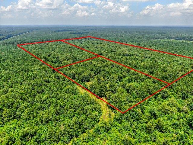 Pelican Rd, Shepherd, TX 77371