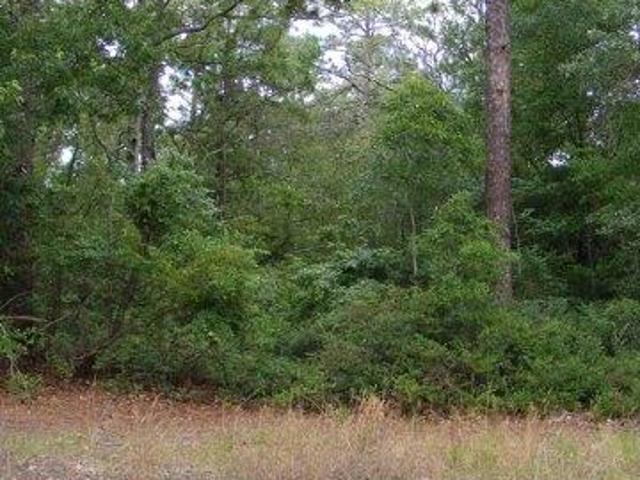 Pelion SC 29123 LS91666697