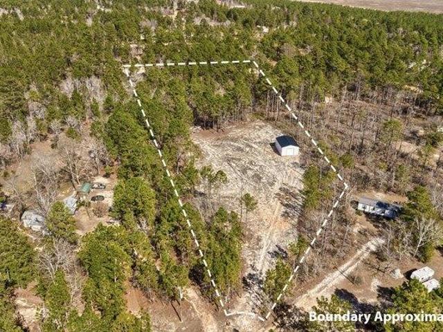 Pelion SC 29123 LS95340086