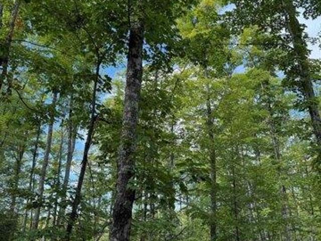 Pelkie MI 49958 94740527