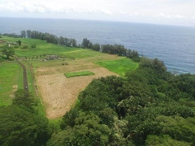 Pepeekeo, HI 96783