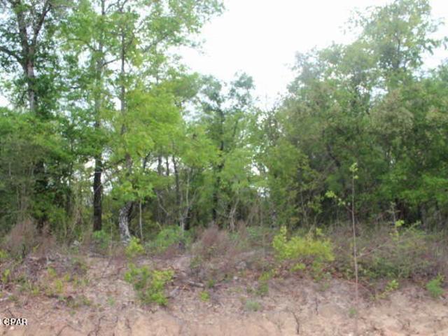 Peppervine Pl, Chipley, FL 32428