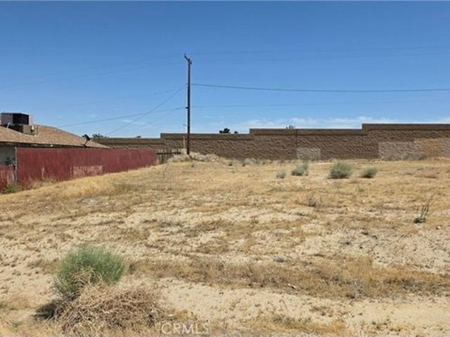 Pepper Tree, Victorville, CA 92394