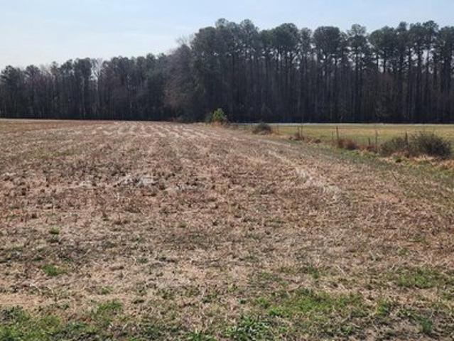 Pepperbox Rd Lot 1, Laurel, DE 19956
