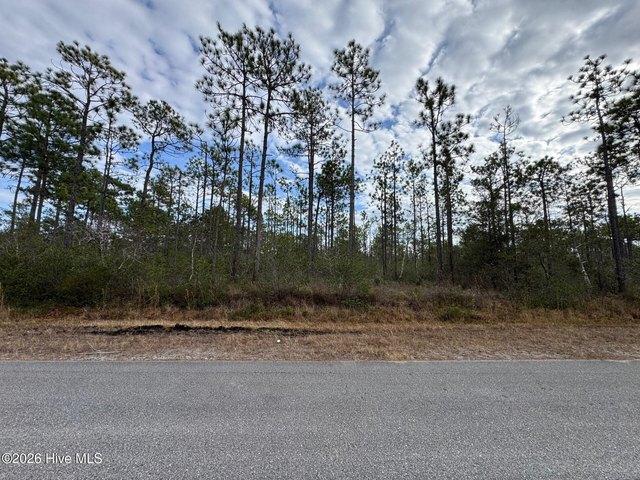 Pepperhill Rd Lot 22, Southport, NC 28461