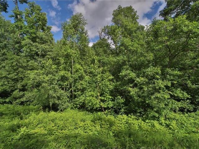 Percheron Dr, Breezy Point, MN 56472